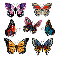 Multicolored Butterflies Set Royalty Free Vector Image