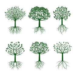 Outline of Tree Roots Sketch Vector Images (over 610)
