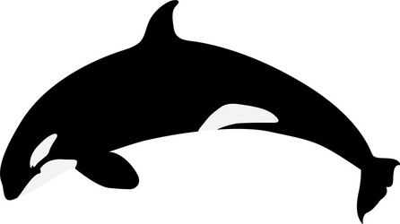 Free Orca Vector Images (43)
