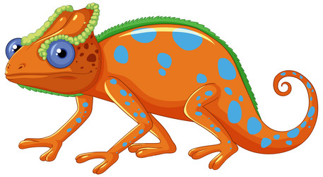 Cute colourful chameleon cartoon isolated Vector Image