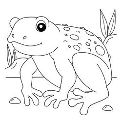 How To Draw A Cane Toad