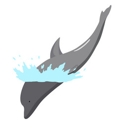 Dolphin jumping out of water animation element Vector Image
