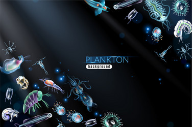 Plankton Vector Images (over 1,000)