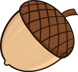 Cartoon acorn Royalty Free Vector Image - VectorStock