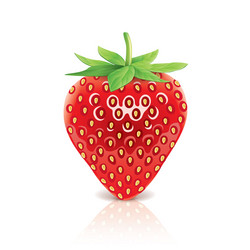 Forest fruits and berries raspberry strawberry Vector Image