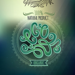 Eco hand lettering and doodles elements Royalty Free Vector