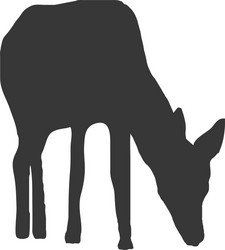 Ruminant Vector Images (over 1,100)