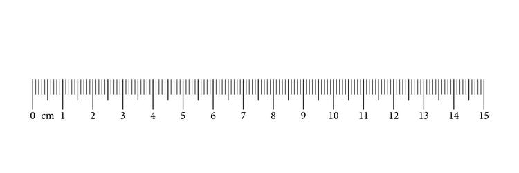 Measuring charts with 30 centimeters 12 inches Vector Image