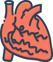 Angiography Vector Images (61)