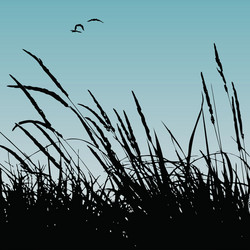 Reeds Vector Images (over 6,800)