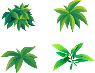 Shrub Vector Images (over 18,000)
