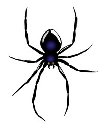 Spider Eyes Vector Images (over 3,700)