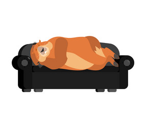 Groundhog sleeping woodchuck asleep emotions Vector Image