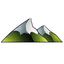 Scratchboard engraving of mountains with white Vector Image