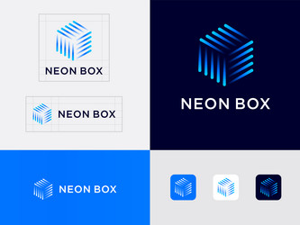 Hexagon logo and identity geometric line box color