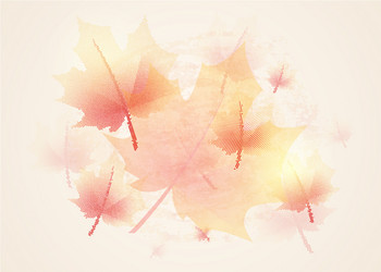 Realistic autumn leaf fall orange wood foliage Vector Image