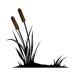 Cattail Marsh Royalty Free Vector Image - VectorStock