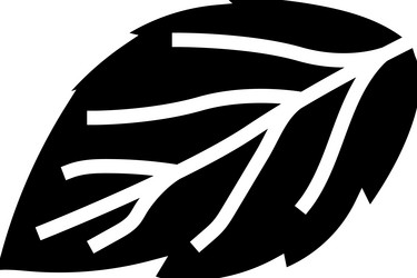 Single Leaf Vector Images (over 38,000)