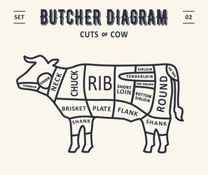 Beef chart poster butcher diagram for groceries Vector Image