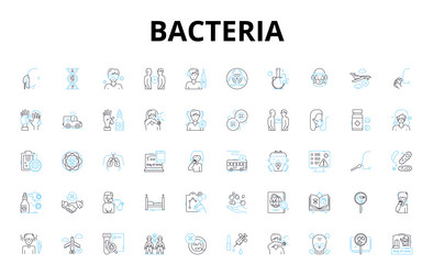Pathogenesis Vector Images (over 100)