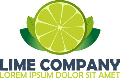 Lime slice green lemon Royalty Free Vector Image