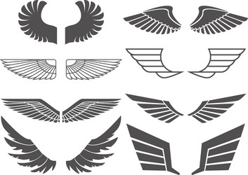 Wings set 1 Royalty Free Vector Image - VectorStock