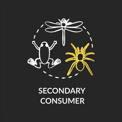 Secondary Vector Images (over 4,000)