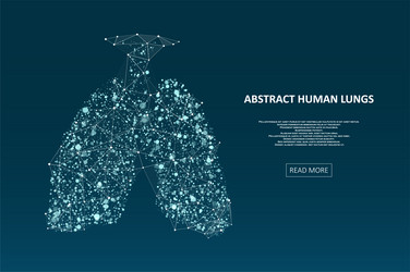Abstract human lungs Royalty Free Vector Image