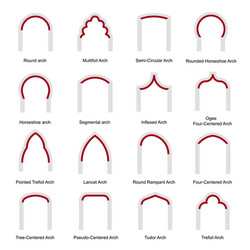 Types of noses correction angle nasal shape Vector Image