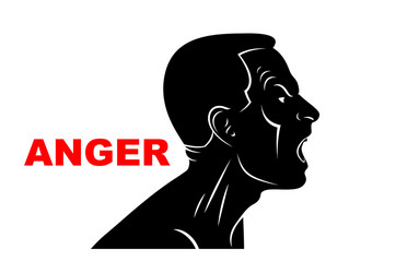 Abuse verbal aggression and anger man face Vector Image