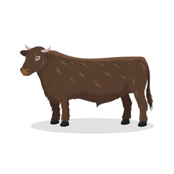 Bull Farm Vector Images (over 29,000)