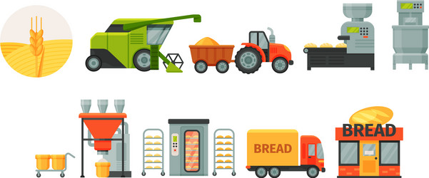 Stages of production bread from harvest Royalty Free Vector