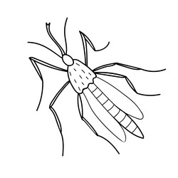 Mosquito Line Drawing Vector Images (over 420)