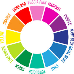 24 parts color wheel with numbers cmyk amount Vector Image