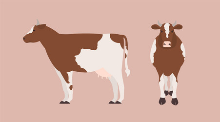 Cow Side View Vector Images (over 540)