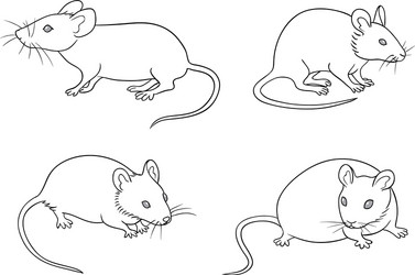 Mice Vector Images (over 10,000)