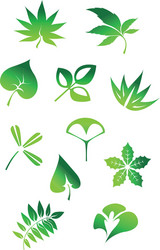 Set green leaves with ecology Royalty Free Vector Image