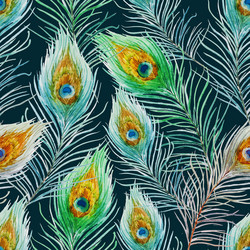 Peacock Feather Vector Background