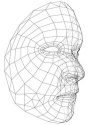 Wire-frame abstract human face Royalty Free Vector Image