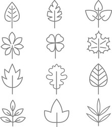 Simple Line Drawings Of Leaves