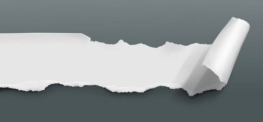 Rip paper page curl with torn edge sheet Vector Image