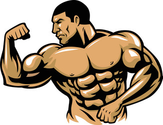 Muscle Vector Images (over 120,000)