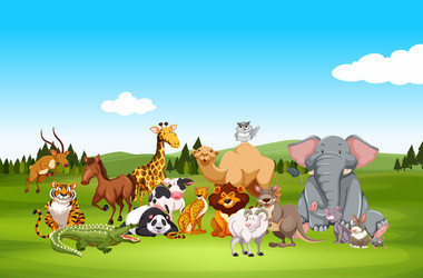 Wild Animals Vector Images (over 730,000)