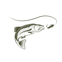 Salmon Jumping Coho Vector Images (65)