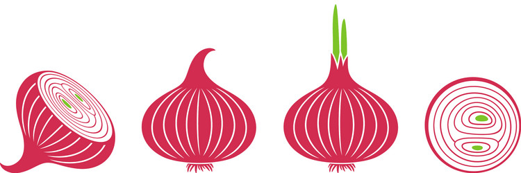 Onion flat design icon Royalty Free Vector Image