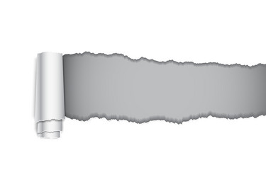 Realistic torn and twisted paper strip Royalty Free Vector