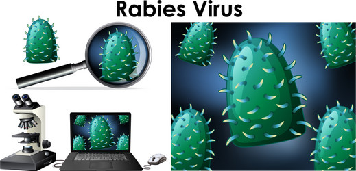 Rabies Virus Vector Images (over 810)