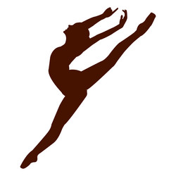 Dancer Silhouette Firebird Leap