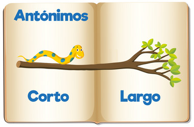 Spanish language education short and long picture Vector Image