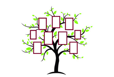 Family Tree Border Vector Images (over 1,000)